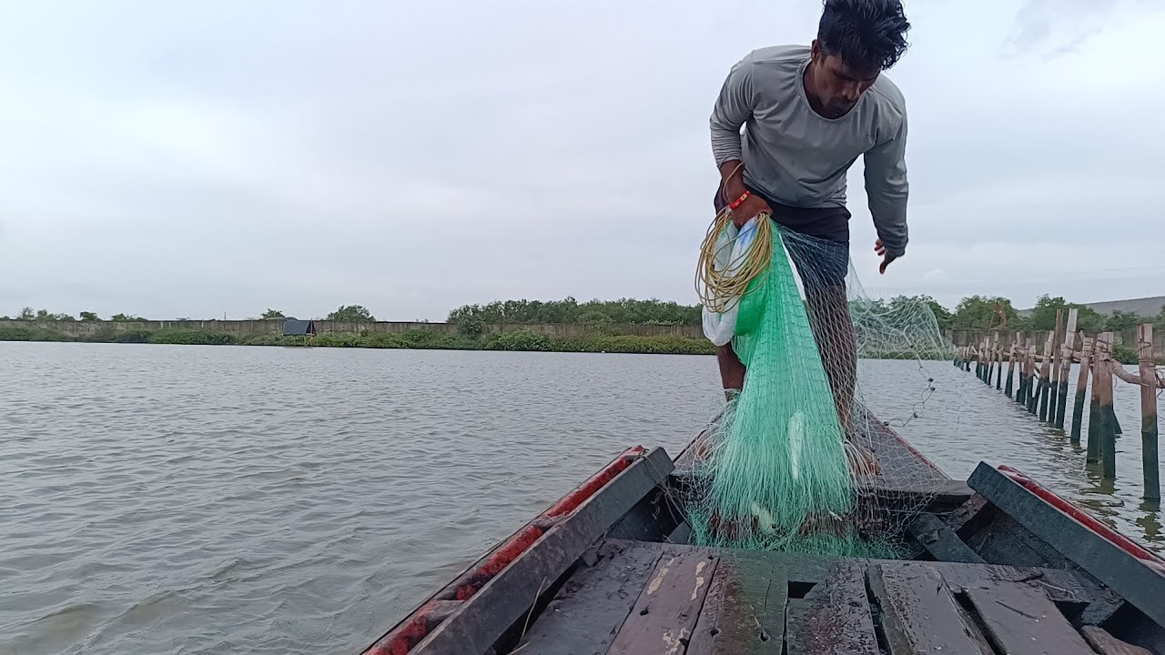 River fish Catching And Fisherman 10 Aug 2024 - YouTube