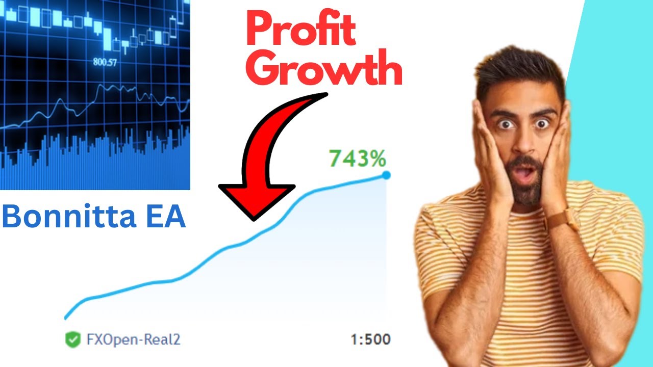 Review of Bonnitta EA (Grid EA that made +2700% in 4 years) - YouTube
