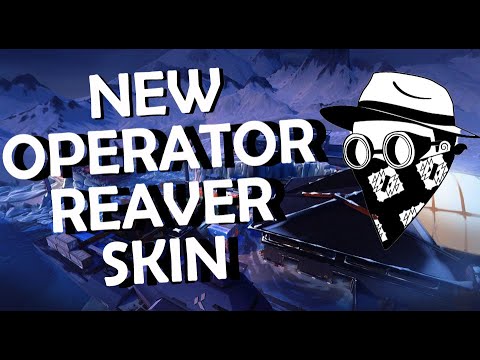 NEW REAVER OP SKIN: Friendly Game Of Valorant - YouTube