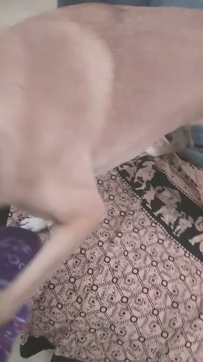 Emmmm no hay contexto. - YouTube