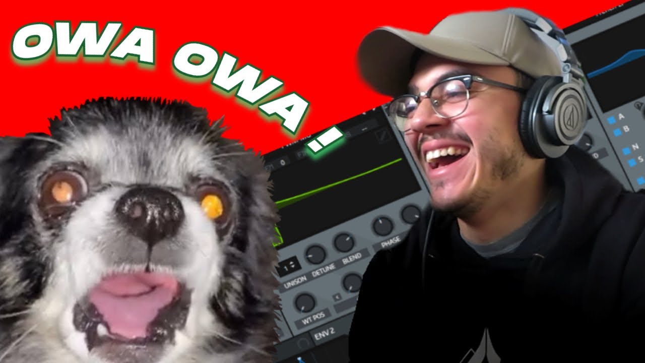 I Turned Pudgy Woke (OWA OWA DOG) Into A Dubstep Banger! - YouTube