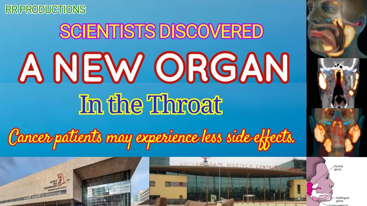 Scientists discovered a new organ in the throat | New human organ - YouTube