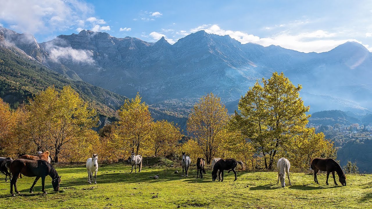 ΕΘΝΙΚΟ ΠΑΡΚΟ ΤΖΟΥΜΕΡΚΩΝ ΚΑΙ ΧΑΡΑΔΡΑΣ ΑΡΑΧΘΟΥ - YouTube
