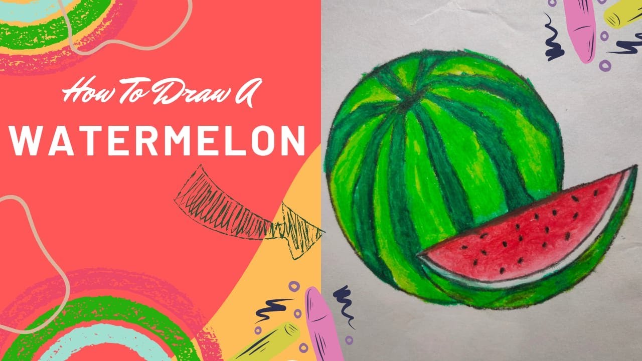 How to Draw a Watermelon (तरबूज़ )🍉🍉|| #begginers #drawing #easy # ...