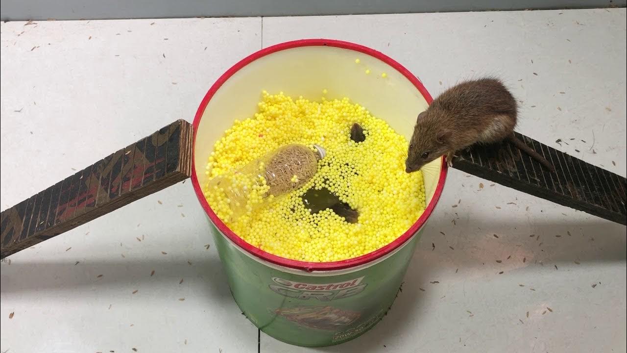 Diy Mouse Trap Water π 10 Mice In Trapped 2 Hour π Mouse Rat Trap π