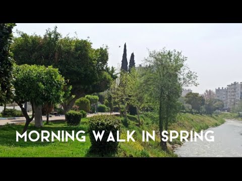 Morning Walk In Spring With Nature Sounds And Relaxing Music For ...
