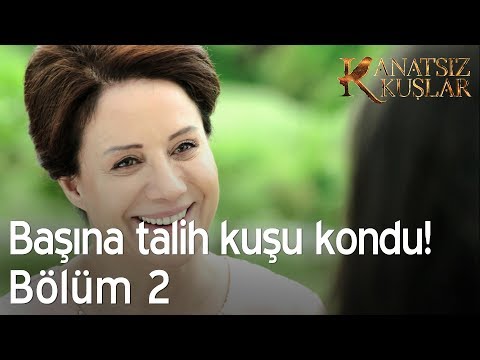 Başına talih kuşu kondu! - Kanatsız Kuşlar 2. Bölüm