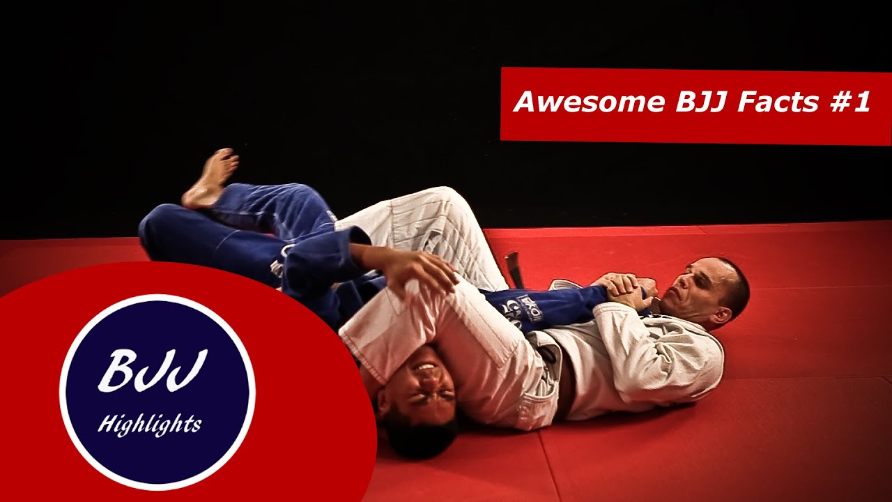 Awesome BJJ Facts #1 - YouTube