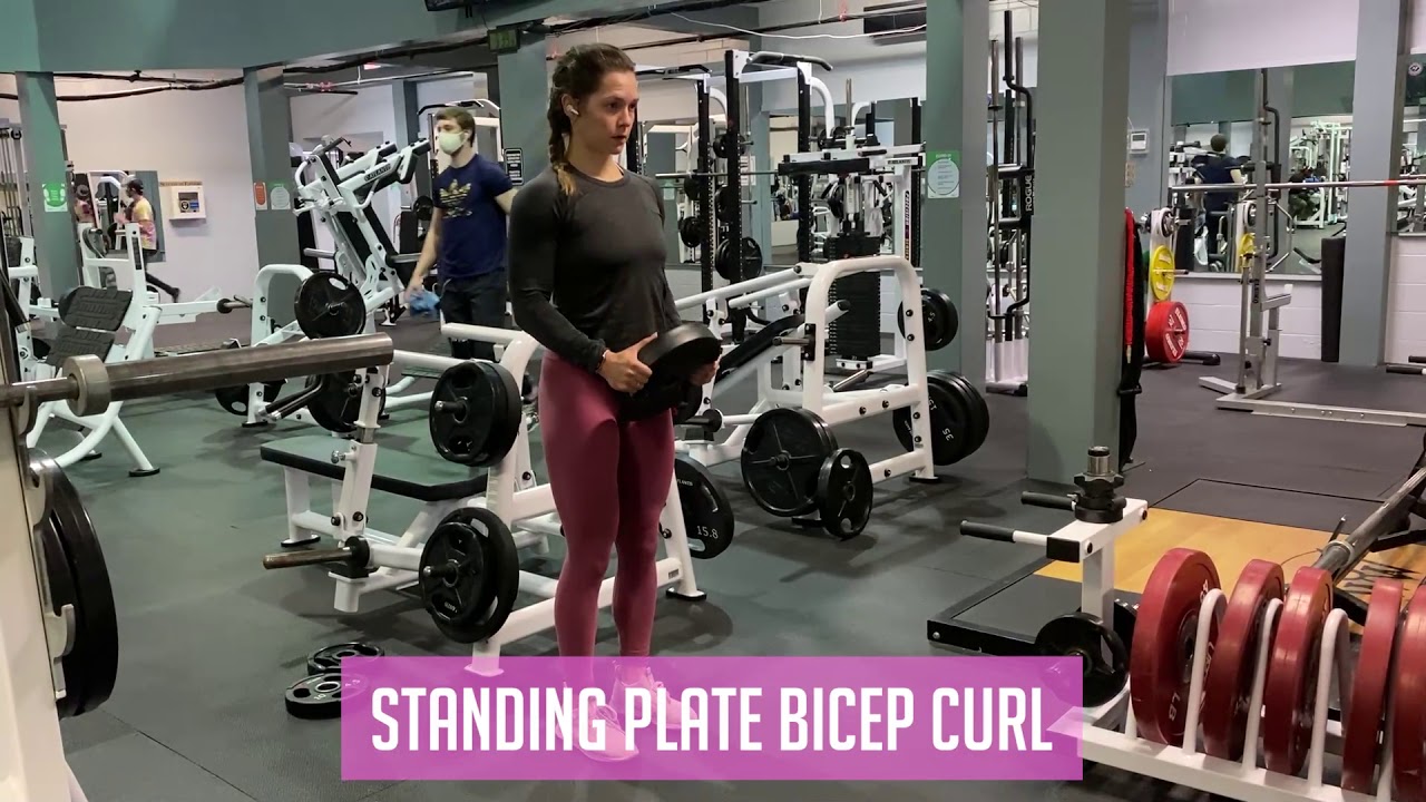 Standing Plate Bicep Curl - YouTube