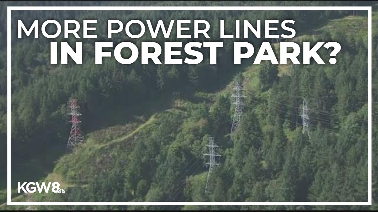 PGE weighs cutting down trees in Forest Park for more power lines - YouTube