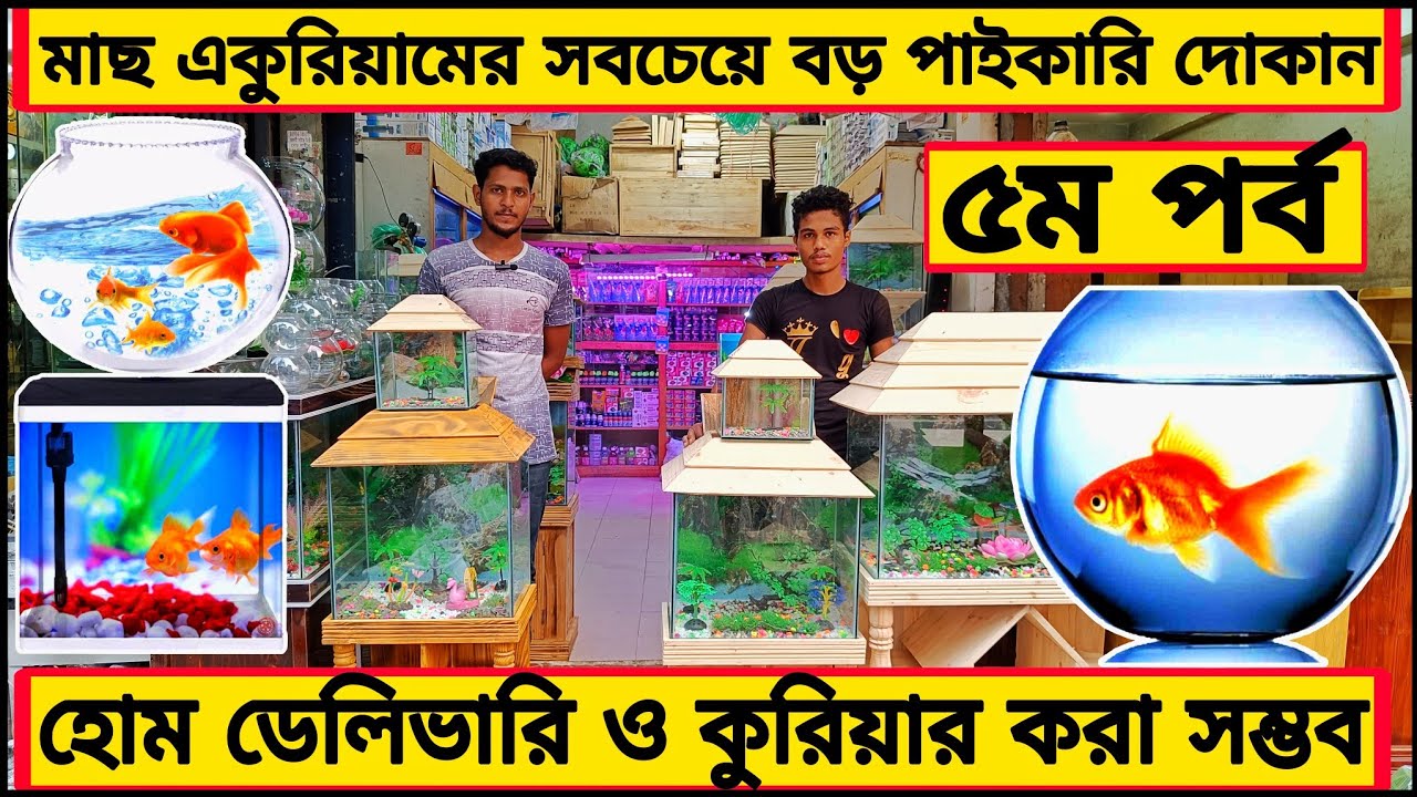 aquarium price in Bangladesh।aquarium fish price in katabon। aquarium ...