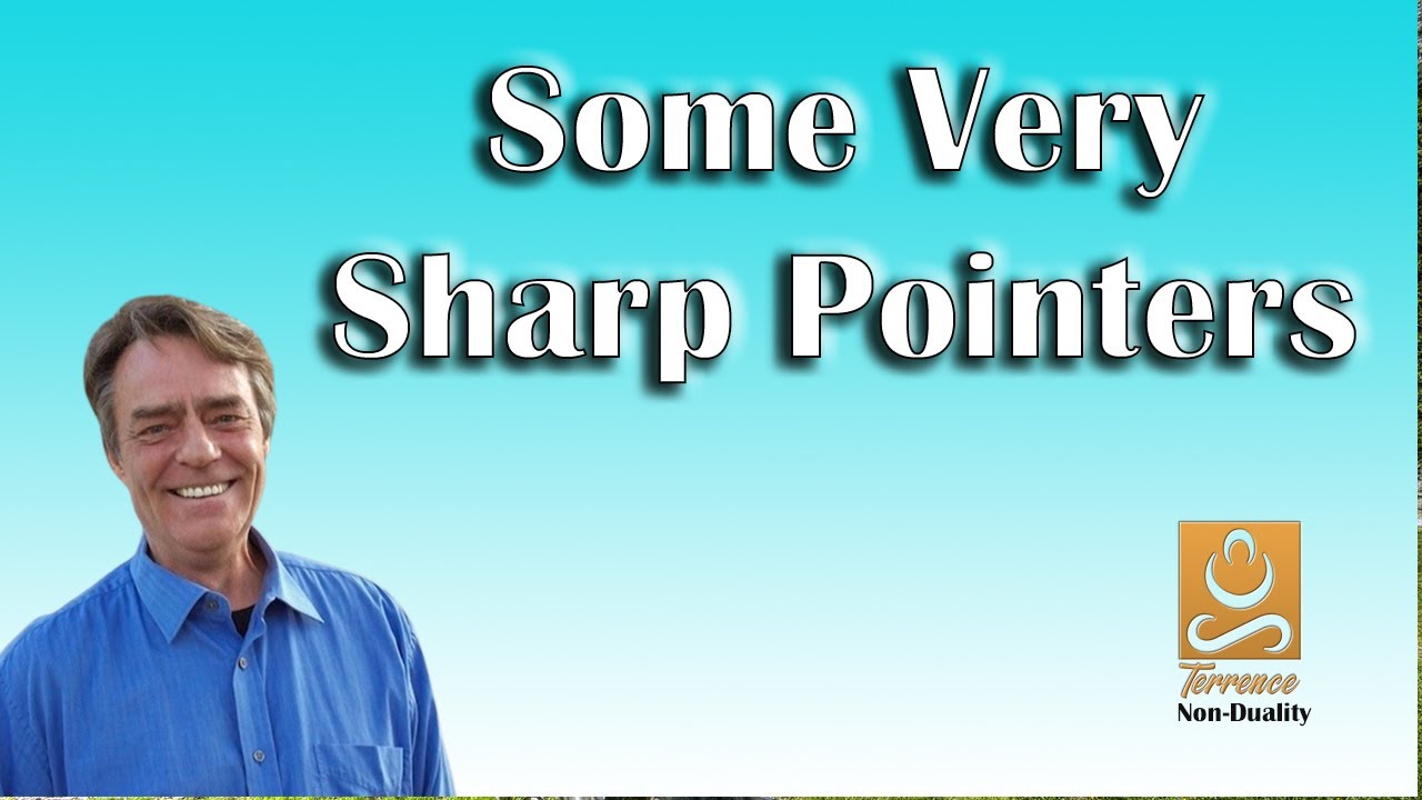 Some Very Sharp Pointers - Non-duality with Terrence - YouTube