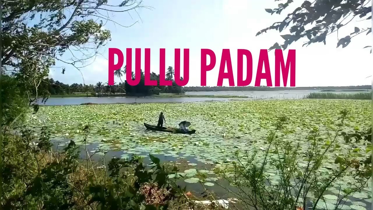 Pullu padam - YouTube