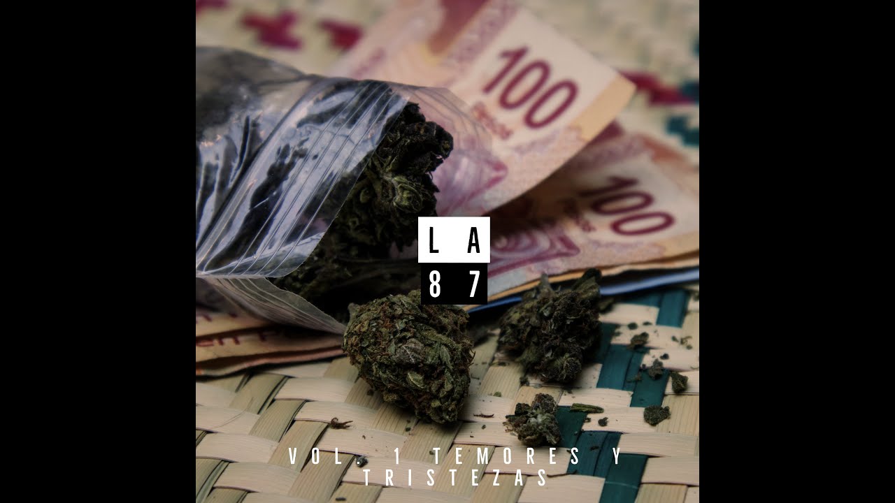 9.- Los Leales - La 87 _ Vol.1 Temores y Tristezas - YouTube