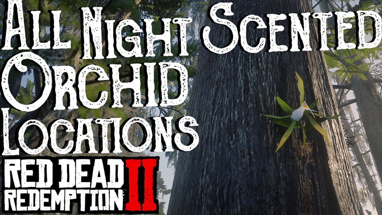 Red Dead Redemption 2 - All 10 Night Scented Orchid Locations ...