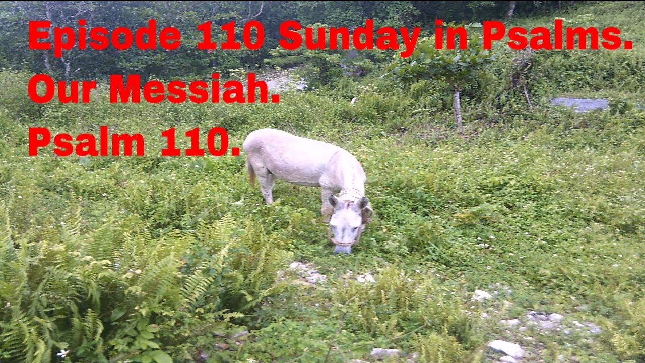 Episode 110 Psalms. - YouTube