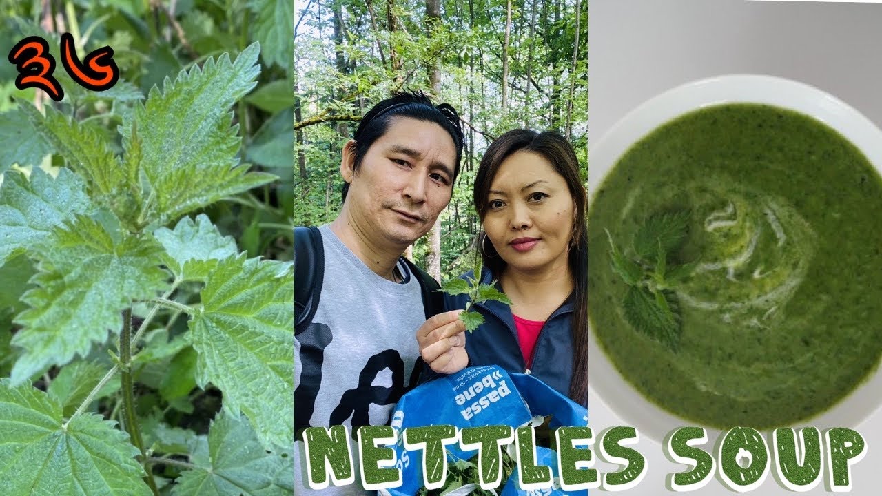 Nettle can taste exotic/ Try the unconventional healthy nettle soup ...