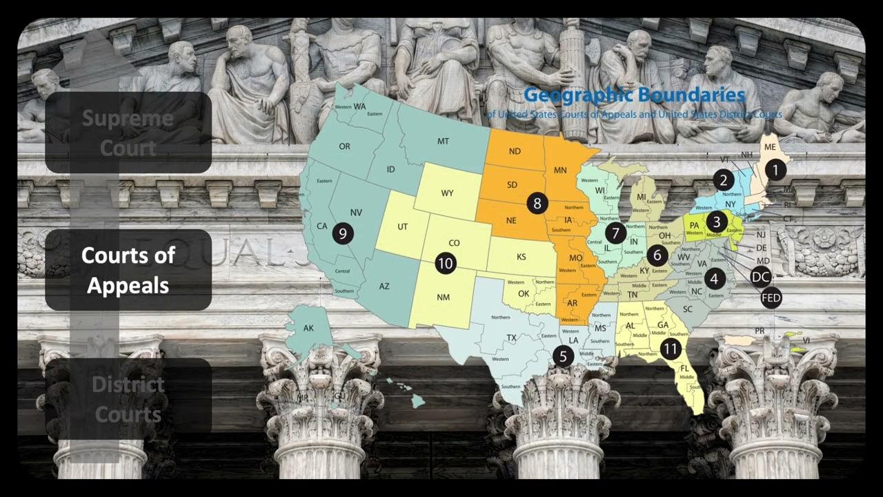 Demystifying the US Federal Court System: Structure and Function ...