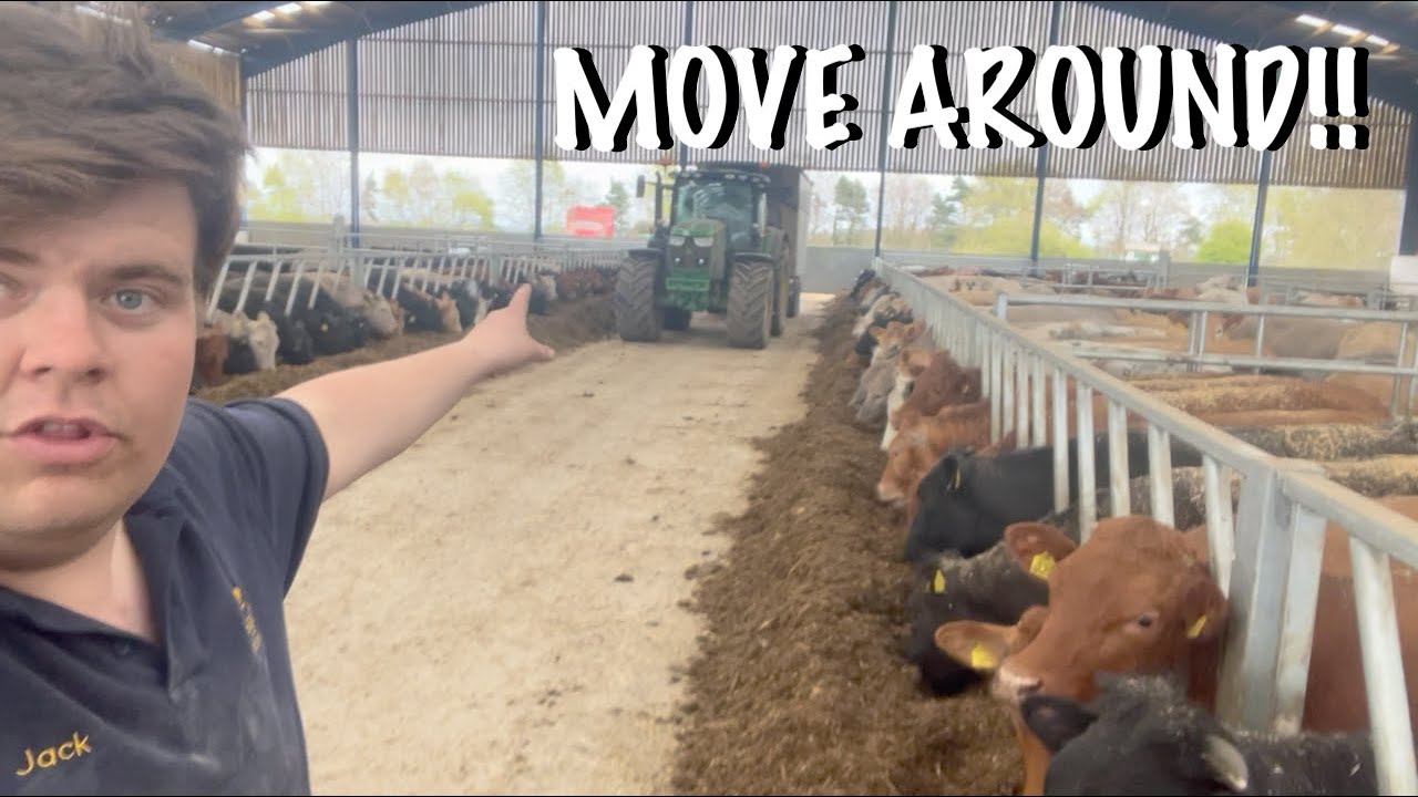HAVING A MOVE AROUND!! - YouTube