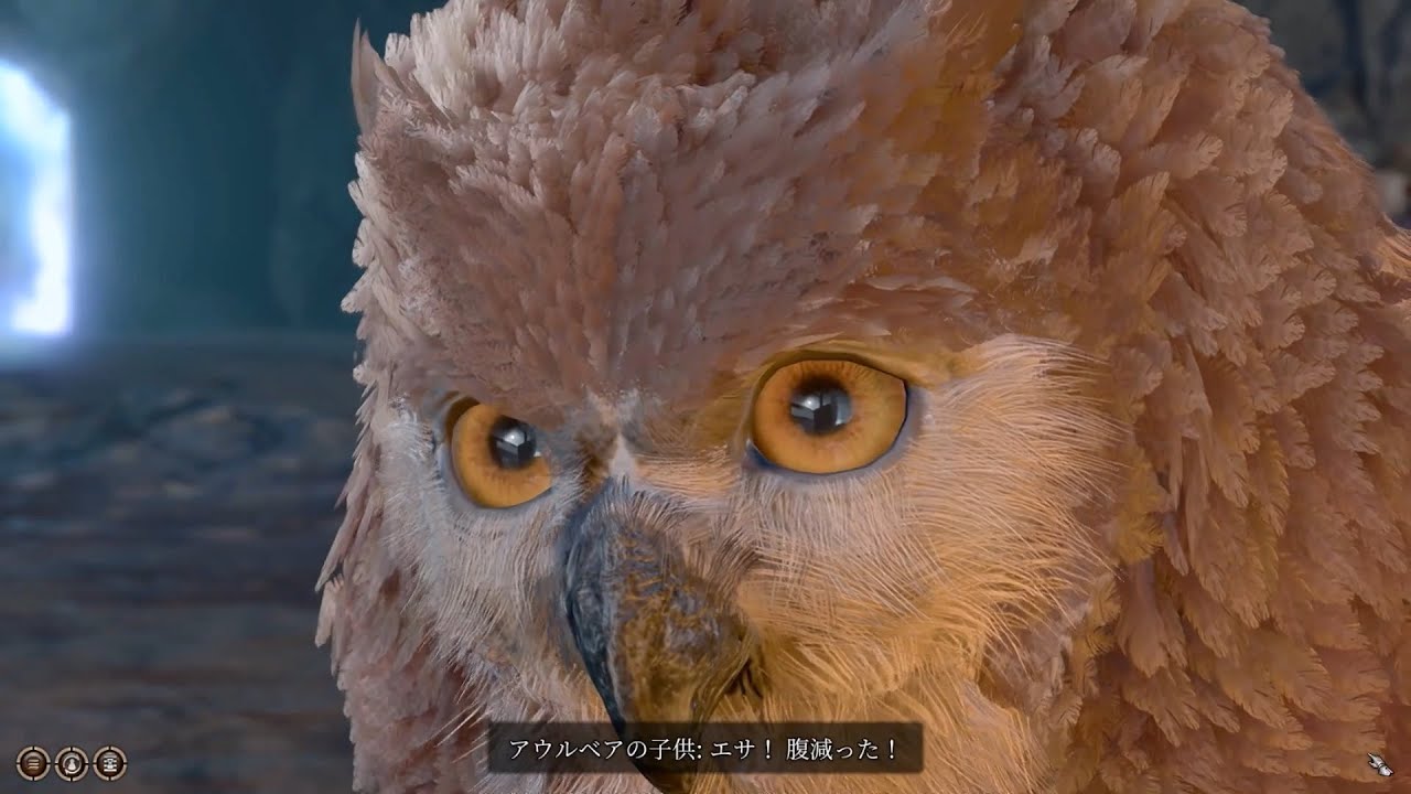 [Baldur's Gate3/BG3]アウルベアの子供来訪イベント 各オリジン反応集/Owlbear Children's ...