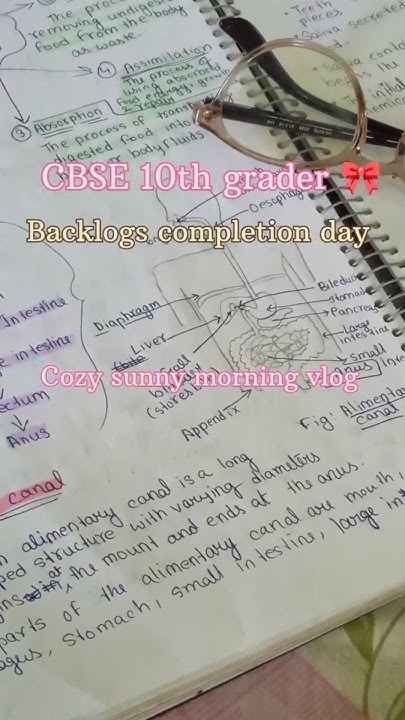 Backlogs completion as a CBSE 10th grader 🌷 #shorts #fyp - YouTube