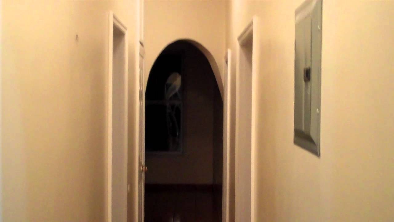 731 Kelly St Bronx, NY 10455 - 3 Family Brownstone - Final Walk Through ...