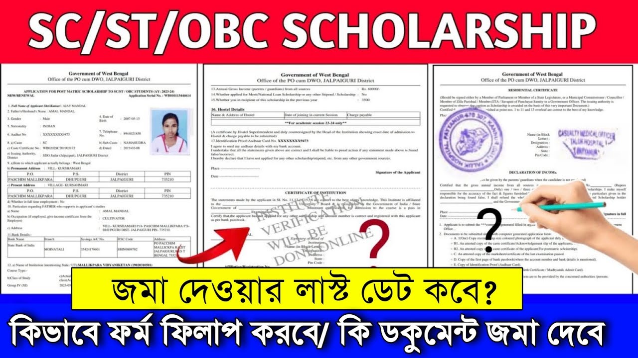 Oasis Scholarship Form Fill Up 2024 | SC ST OBC Scholarship form fill ...