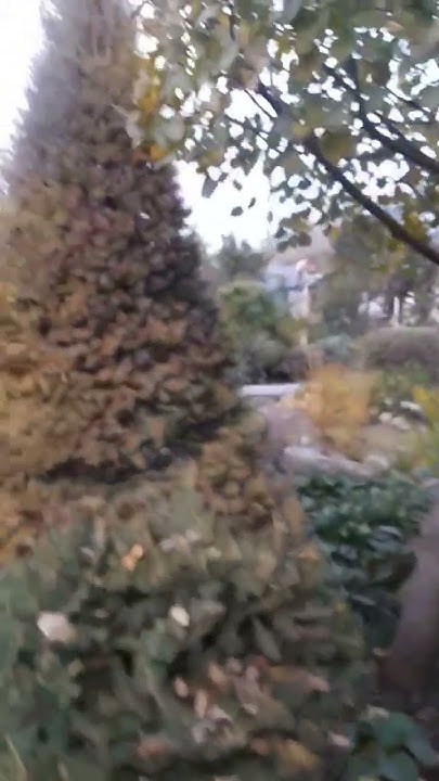 Выездной опен-эйр удался - YouTube