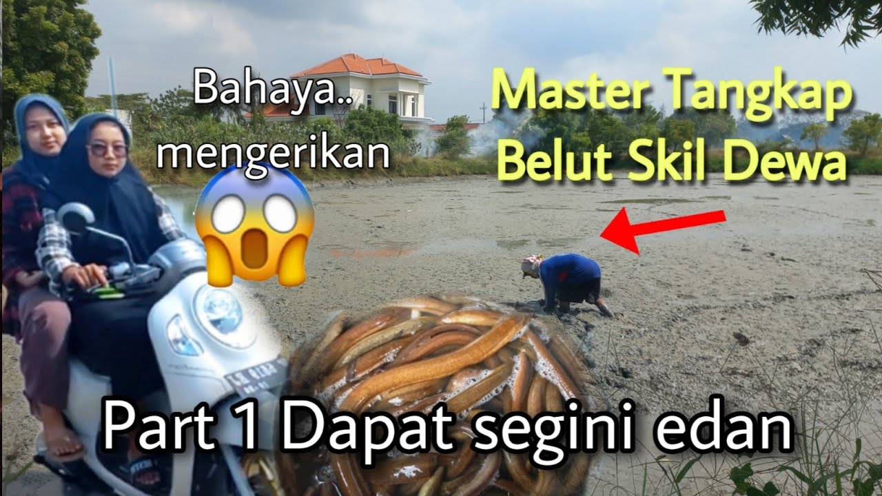 Cari Belut di lumpur Master Agus di buat Tak berdaya ole Belut Liar Nakal - YouTube
