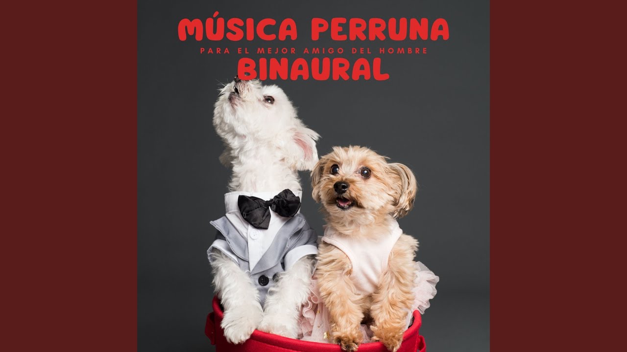 Serenata De Amor Perruno - YouTube