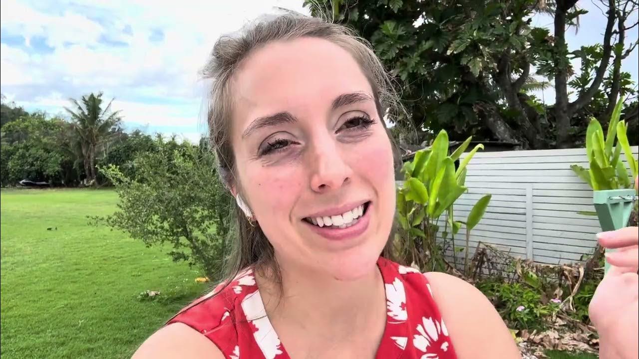Welcome to Aloha Haole — first video 🥳 - YouTube