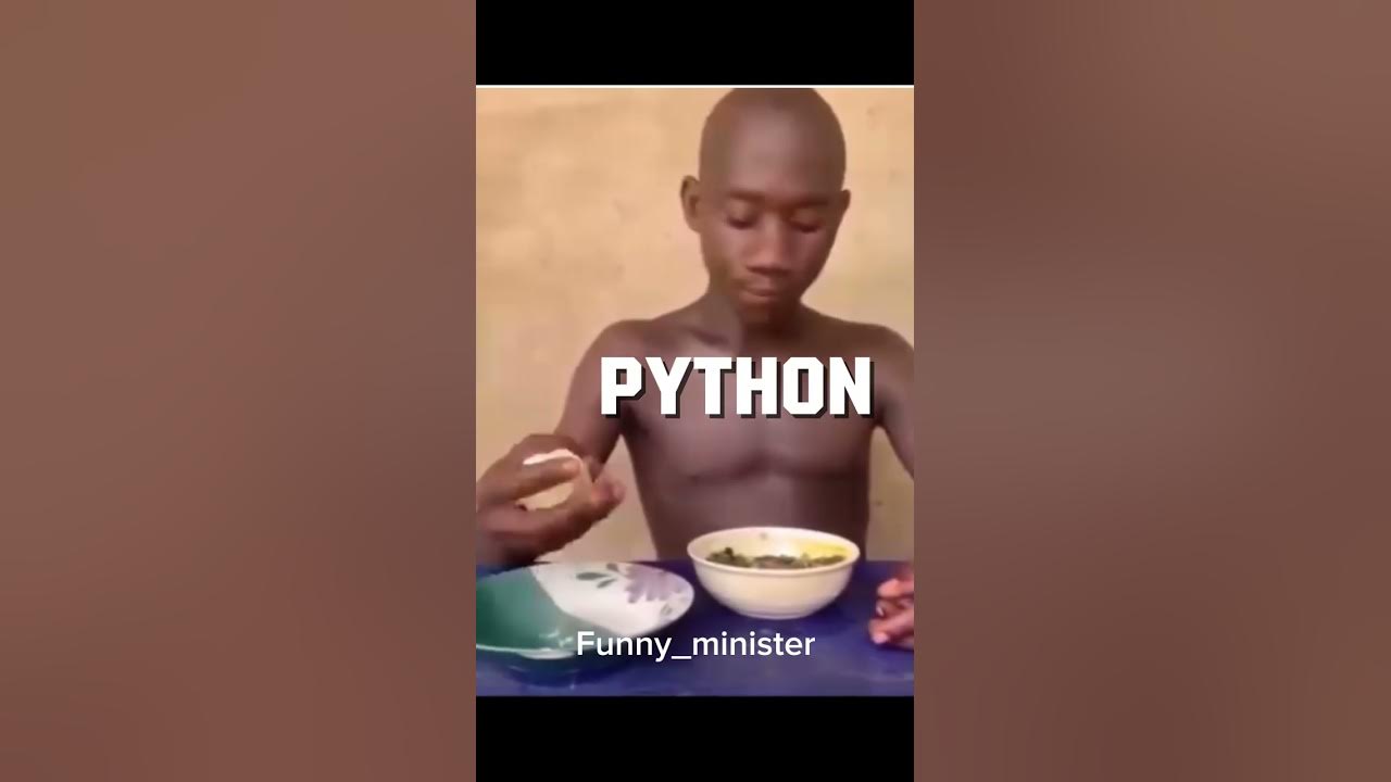 The Python Guy - Youtube