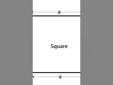 Math + Programming = Magic 2 | #shorts - YouTube