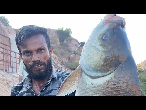 😱Big fish 🐟 Size 12.kg Katla fish #fishing #fishhunting - YouTube