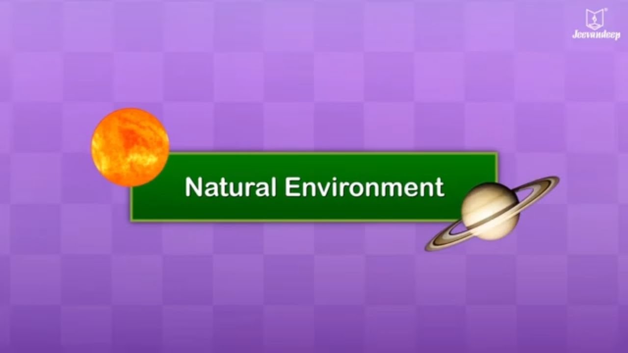 Natural Environment | Science Grade 1 | Periwinkle - YouTube
