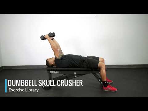 Dumbbell Skull Crusher - OPEX Exercise Library