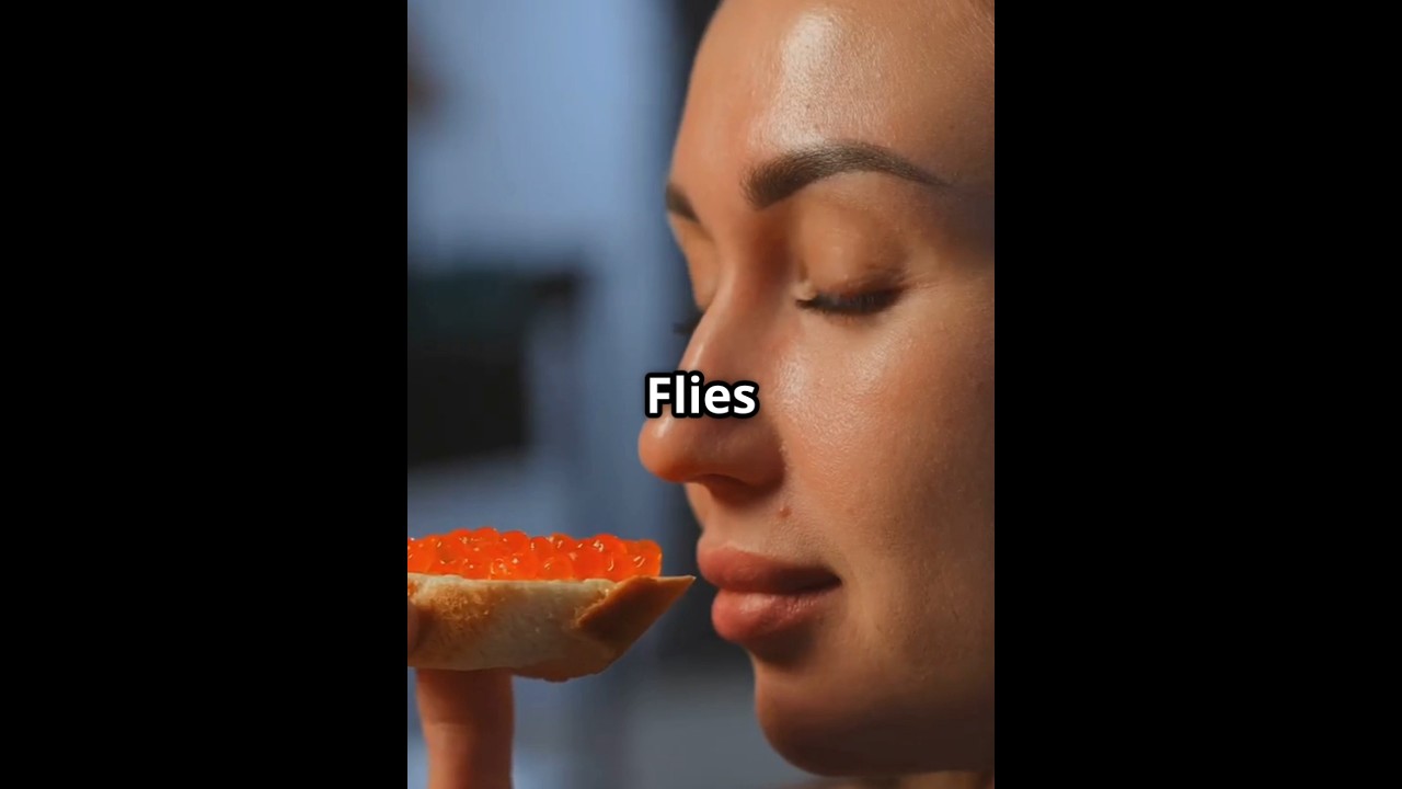 How Flies spread Diseases? 😔 - YouTube