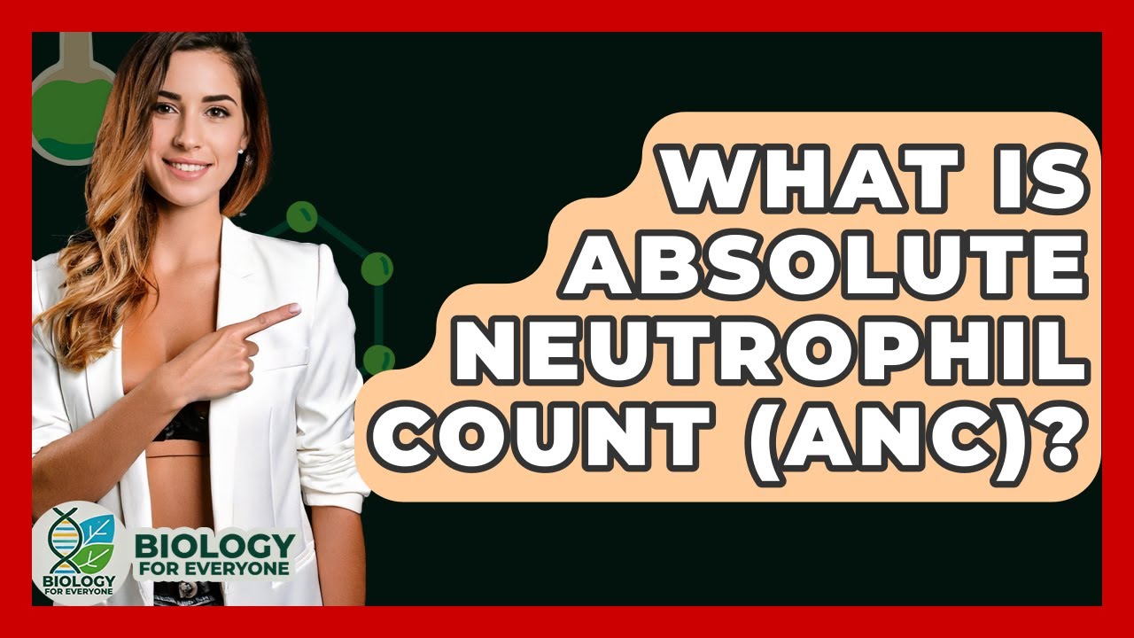 What Is Absolute Neutrophil Count (ANC)? - Biology For Everyone - YouTube