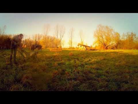 P260 Princess CCLX Trust1Y115D StickCam MediumSlow