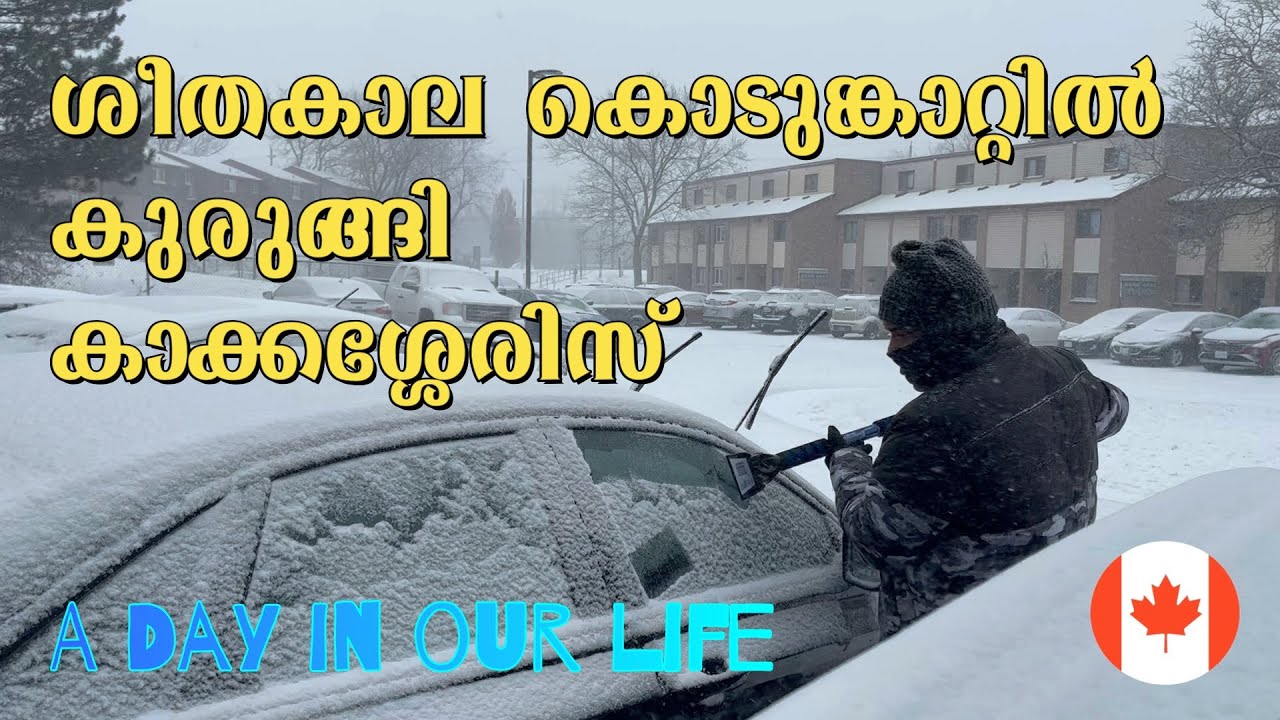 Snow storm Ontario | The Kakkasserys | Canada Malayalam Vlog - YouTube