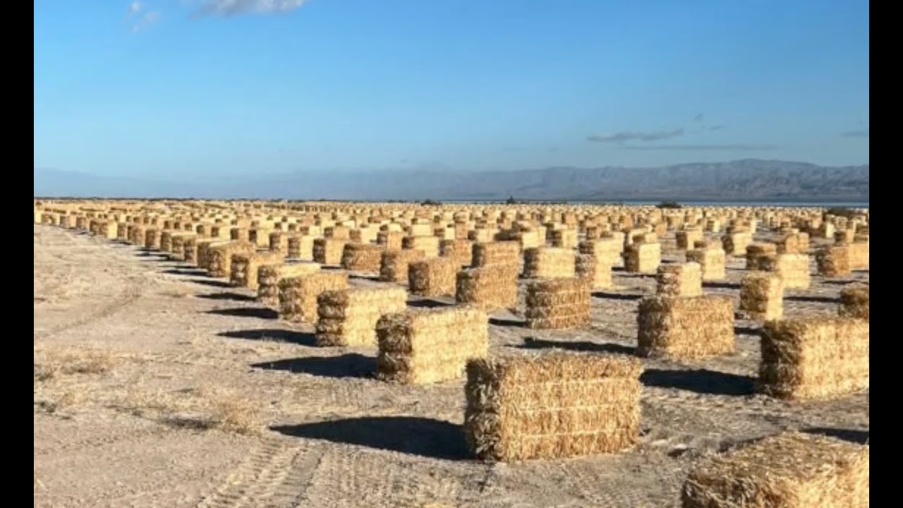 Saving Salton Sea with 300 thousand hay bales.... - YouTube