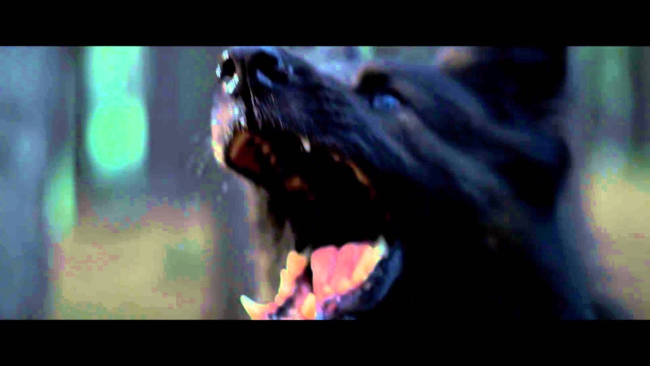 The Pack - UK trailer - YouTube