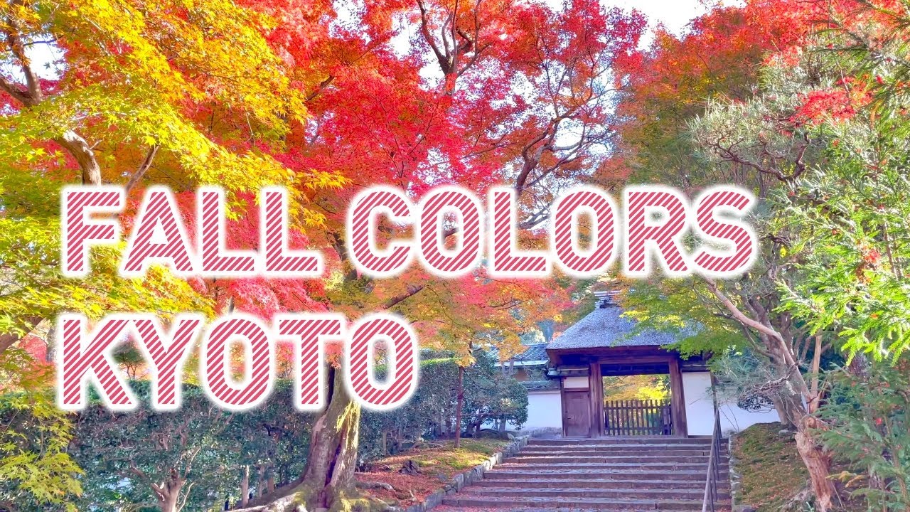 Fall foliage in Kyoto, 10 places to view Fall colors in temples ...