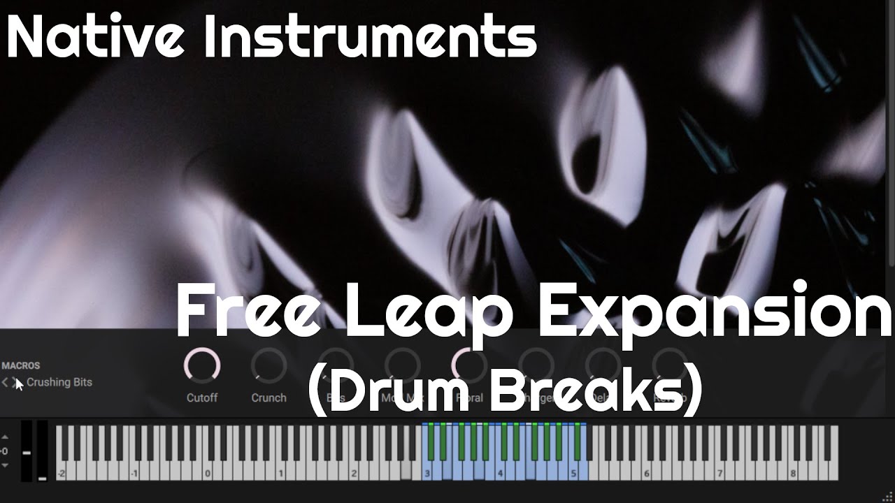 Free Leap Expansion from Native Instruments (No Talking) - YouTube
