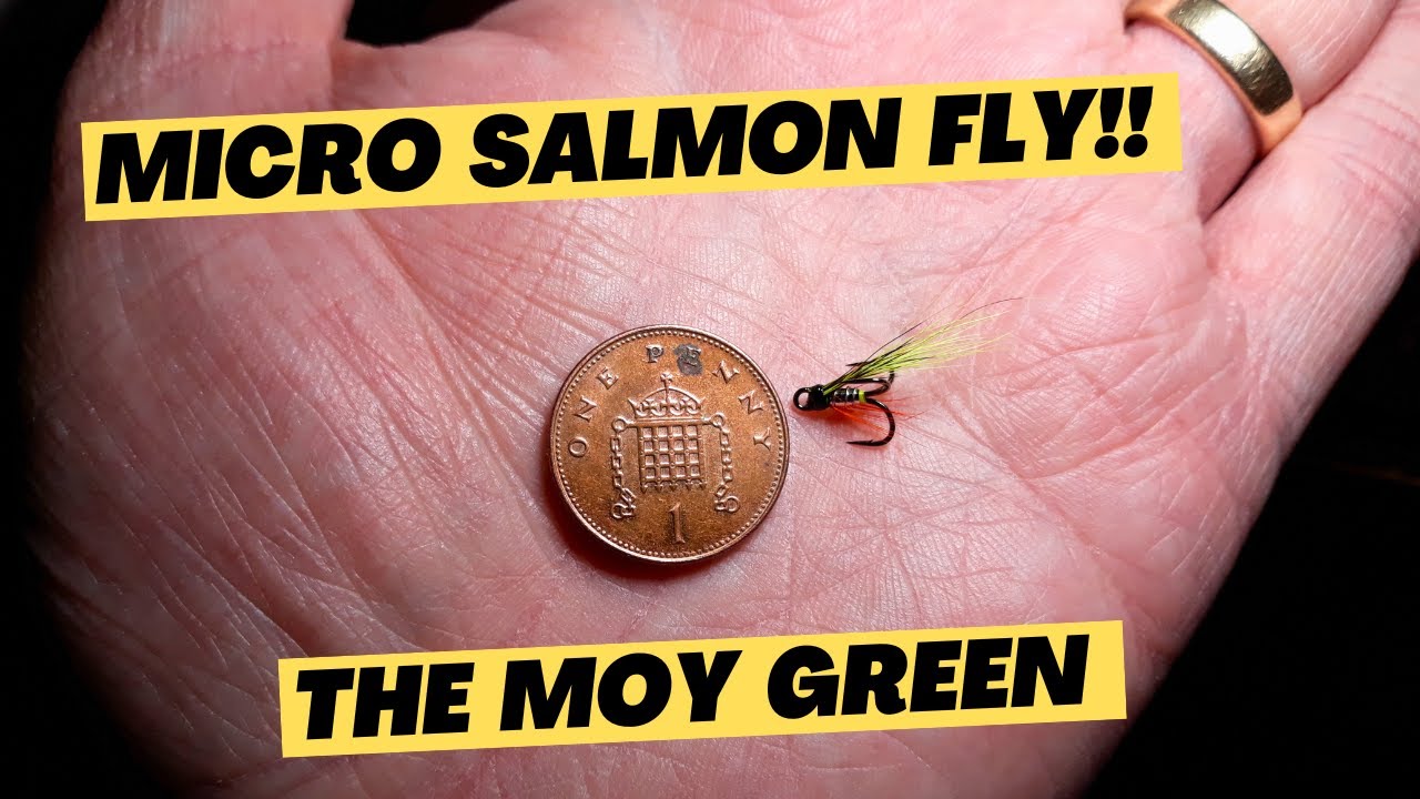The Moy Green Micro Treble: Catch BIG Salmon with This TINY Fly - YouTube