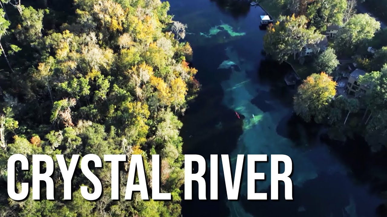 Crystal River State Park in Florida - YouTube