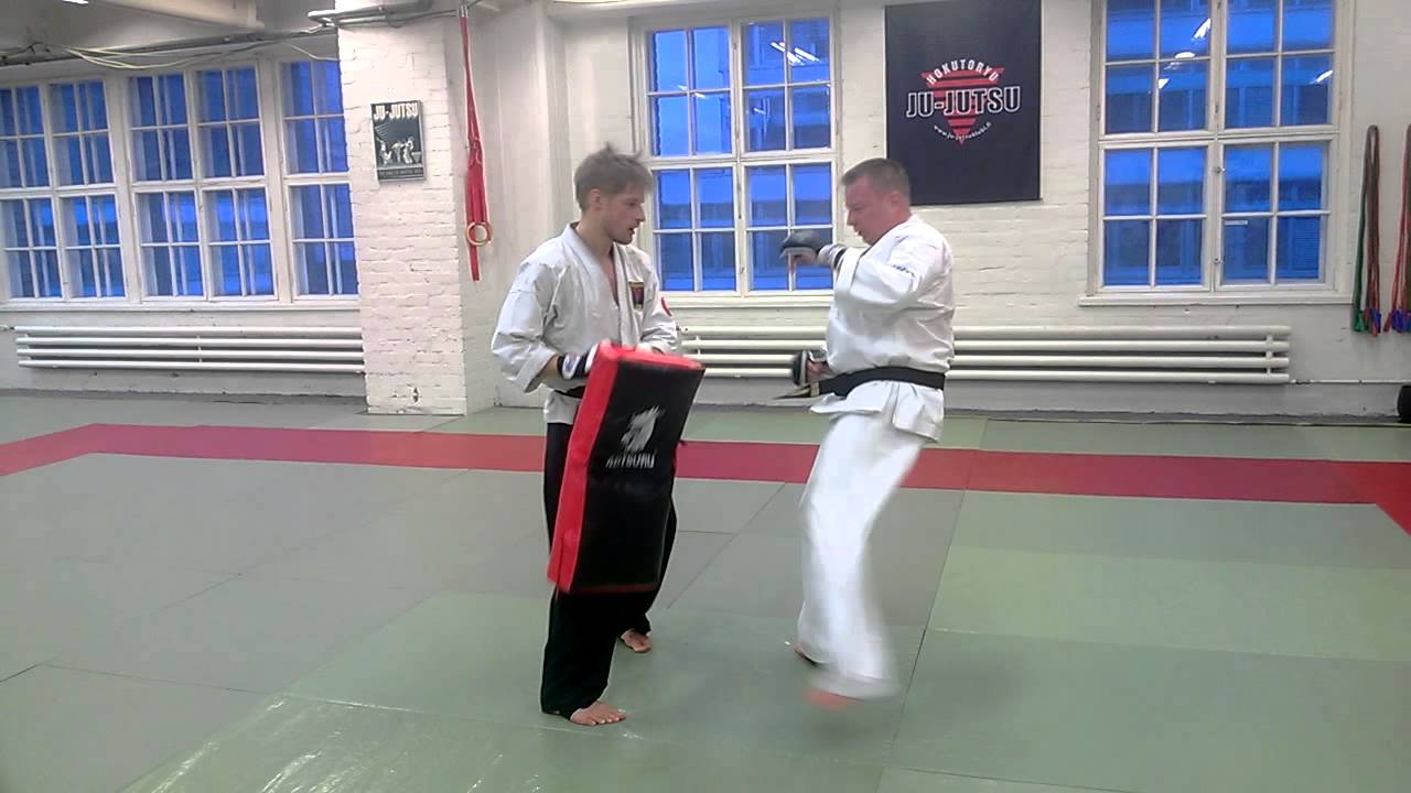 Hokutoryu Ju-jutsu Low kick practice - YouTube