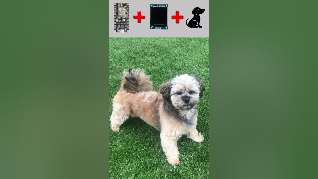 Kolor bitmap displayed on TFT display powered by ESP2866 #arduino # ...