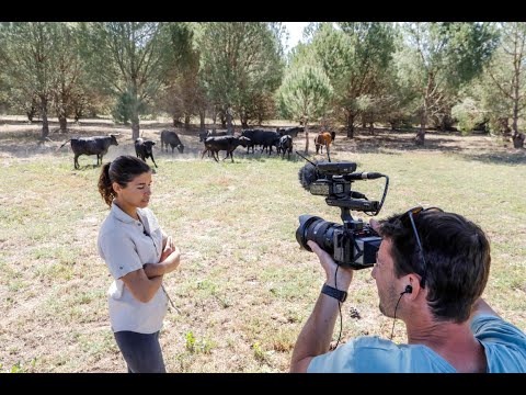 Au campo chez Léa Vicens
