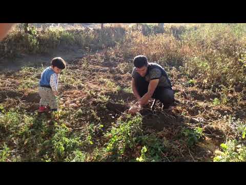 qizil kilse abdullahxan